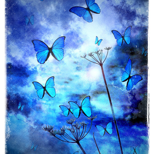 Stream Visual Era - Sferilea by Visual Era | Listen online for free on ...