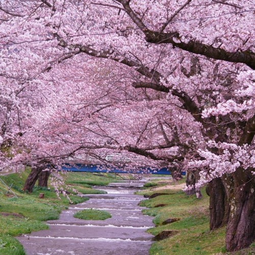 Stream Visual Era - If You Love Me by Visual Era | Listen online for ...