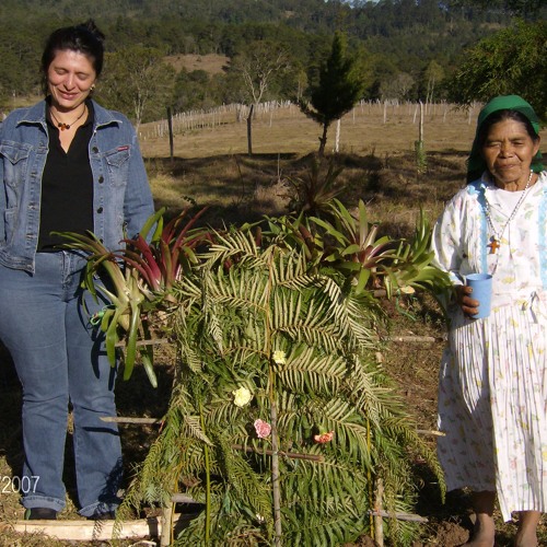 Stream 01 Tradición Religiosa Lenca by Nora Sagastume | Listen online ...