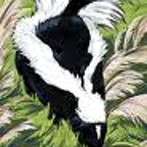 Stream Skunk Power by Elmer | Listen online for free on SoundCloud