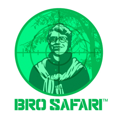 Stream Bro Safari - Promo Mix - 2010 by BRO SAFARI | Listen online for ...