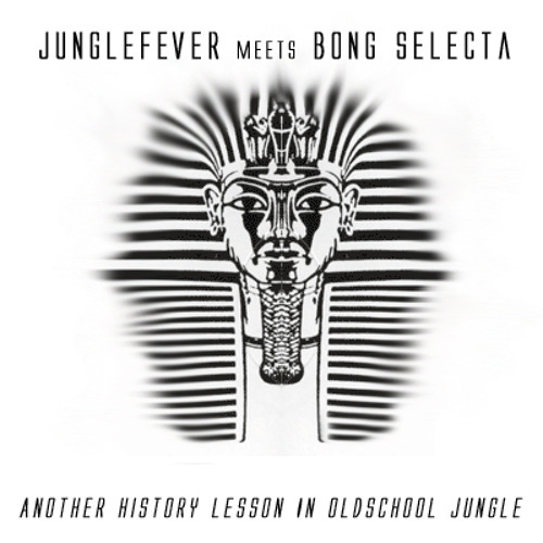 Stream Junglefever meets Bong Selecta- Another History Lesson In ...