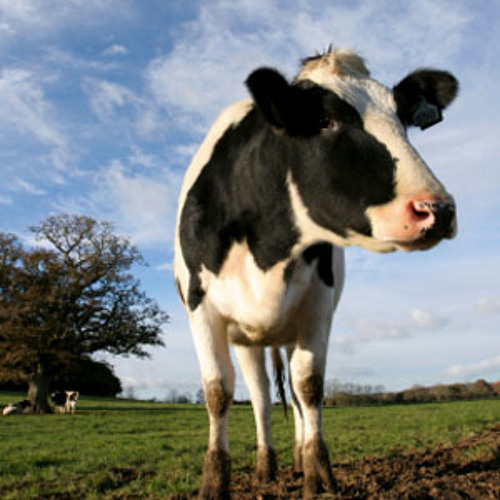 Stream Back In The Alley by bleagh | Listen online for free on SoundCloud