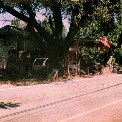 Stream Tree Growing In My Stomach by Space Sage | Listen online for ...