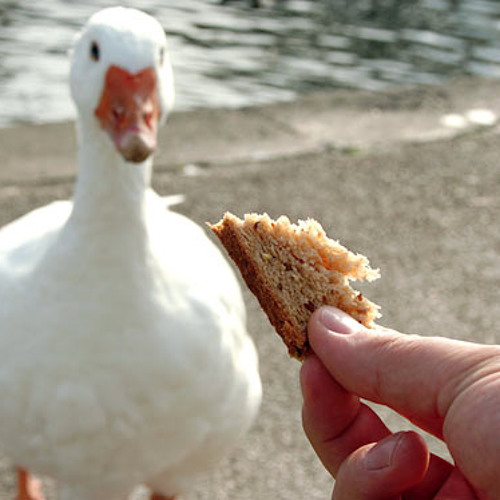 Stream Deeper Dimensions by axalant | Listen online for free on SoundCloud