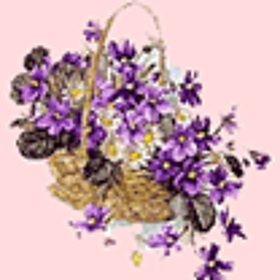 Stream Mishiko Ramishvili - Iebi(Mus.Ge) by tekle114 | Listen online ...