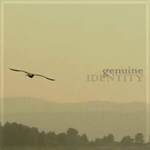 Stream Johannes Strom | Listen to Genuine Identity playlist online for ...