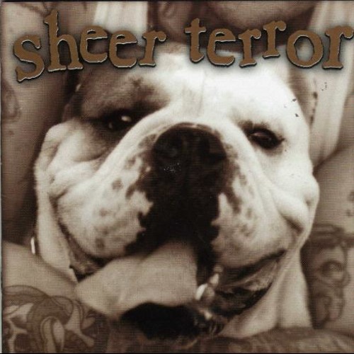 Stream blackoutnyhc | Listen to Sheer Terror- Bulldog Edition playlist ...