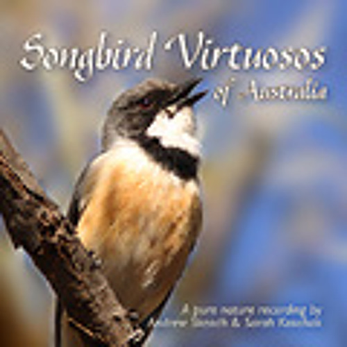 Stream Bellbirds by Listening Earth | Listen online for free on SoundCloud