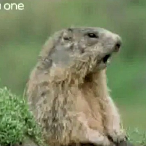 Stream Alan Alan Alan ... Steve Steve Steve by Dark-Angel86 | Listen ...