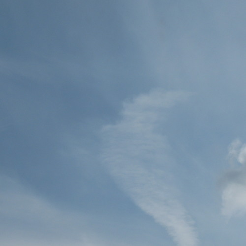 Stream Flight of the Mallards by rcads | Listen online for free on ...