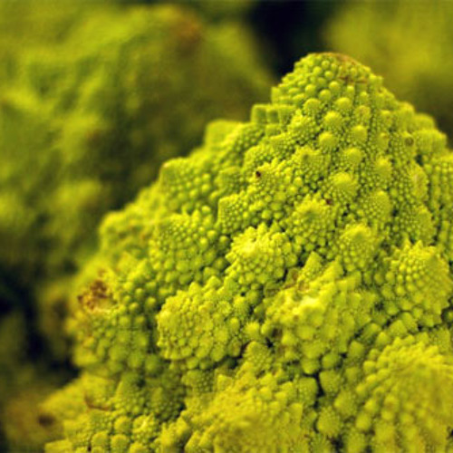 Stream Alien Broccoli by slank | Listen online for free on SoundCloud