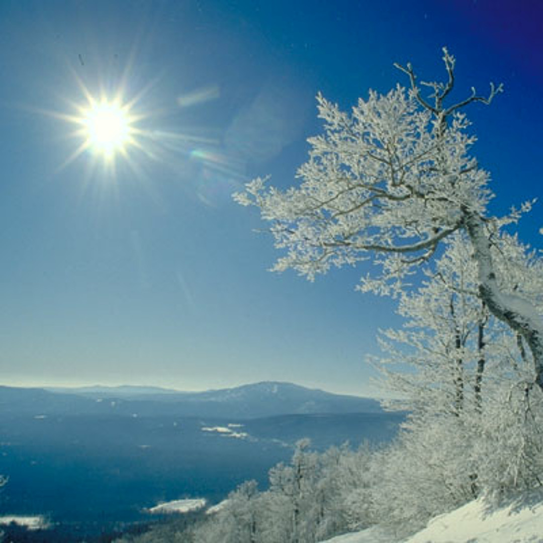 Stream Alice Deejay The lonely one by dj zan | Listen online for free ...