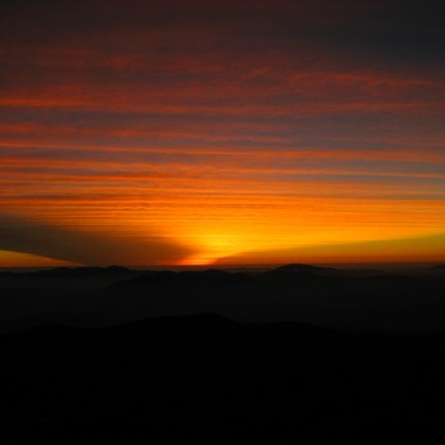 Stream D-Tech - Love Decoder by D-Tech | Listen online for free on ...