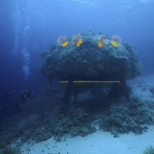 Stream The sea by Fyllis | Listen online for free on SoundCloud