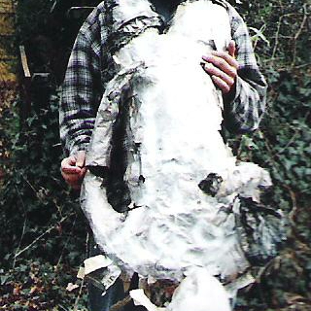 Stream Purple People (1995) by Many Splintered Thing | Listen online ...