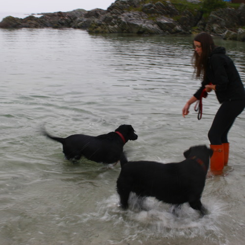 Stream 03 How Not To Get Fat by Michelle Rodley | Listen online for ...