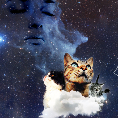 Stream CATS' CLUB ! | Listen to SOUNDS playlist online for free on ...