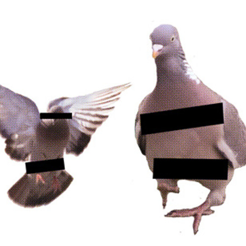 Stream alex epton | Listen to Win Win DVD Mixtape Volume 1 (audio ...