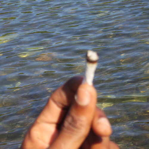 Stream Randy Bess(....Smokin.....every...day....) by Randy Bess ...