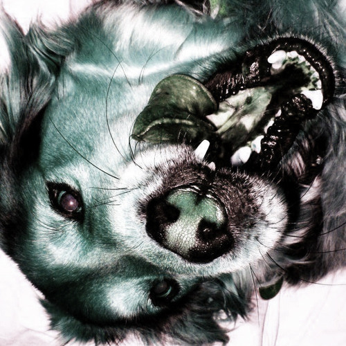 Stream Coma Cinema - Her Sinking Sun (Hooray For Earth Mix) by Hooray ... Stream Coma Cinema - Her Sinking Sun (Hooray For Earth Mix) by Hooray ...