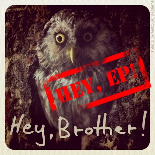 Stream 01.Middle Class Punk (EP version) by Hey, Brother! | Listen ...
