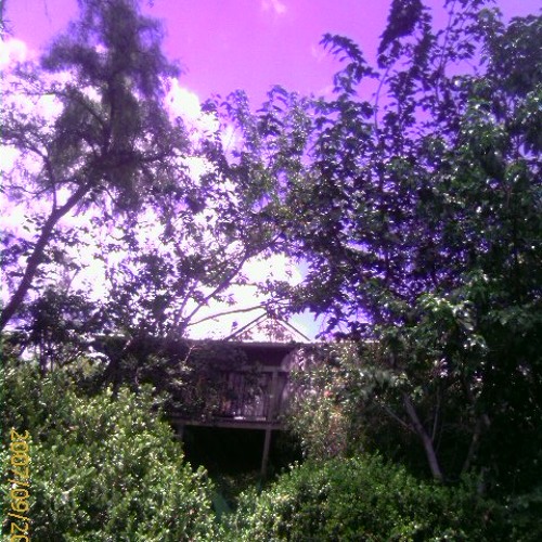 Stream Voice Inside (Song of Siddhartha) by Stephanie Riggio | Listen ...