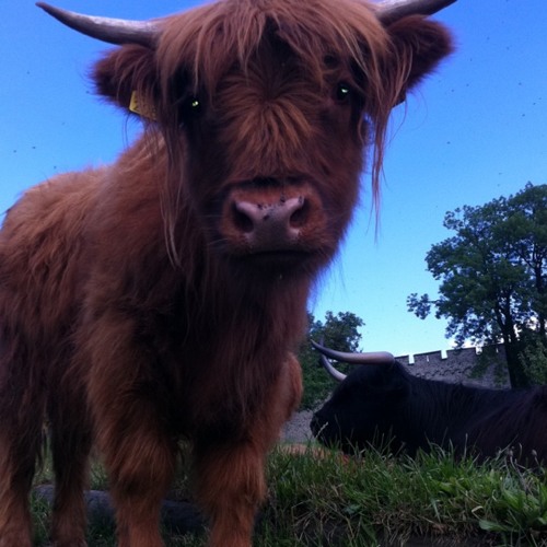 Stream monstercloud by monstercloud | Listen online for free on SoundCloud