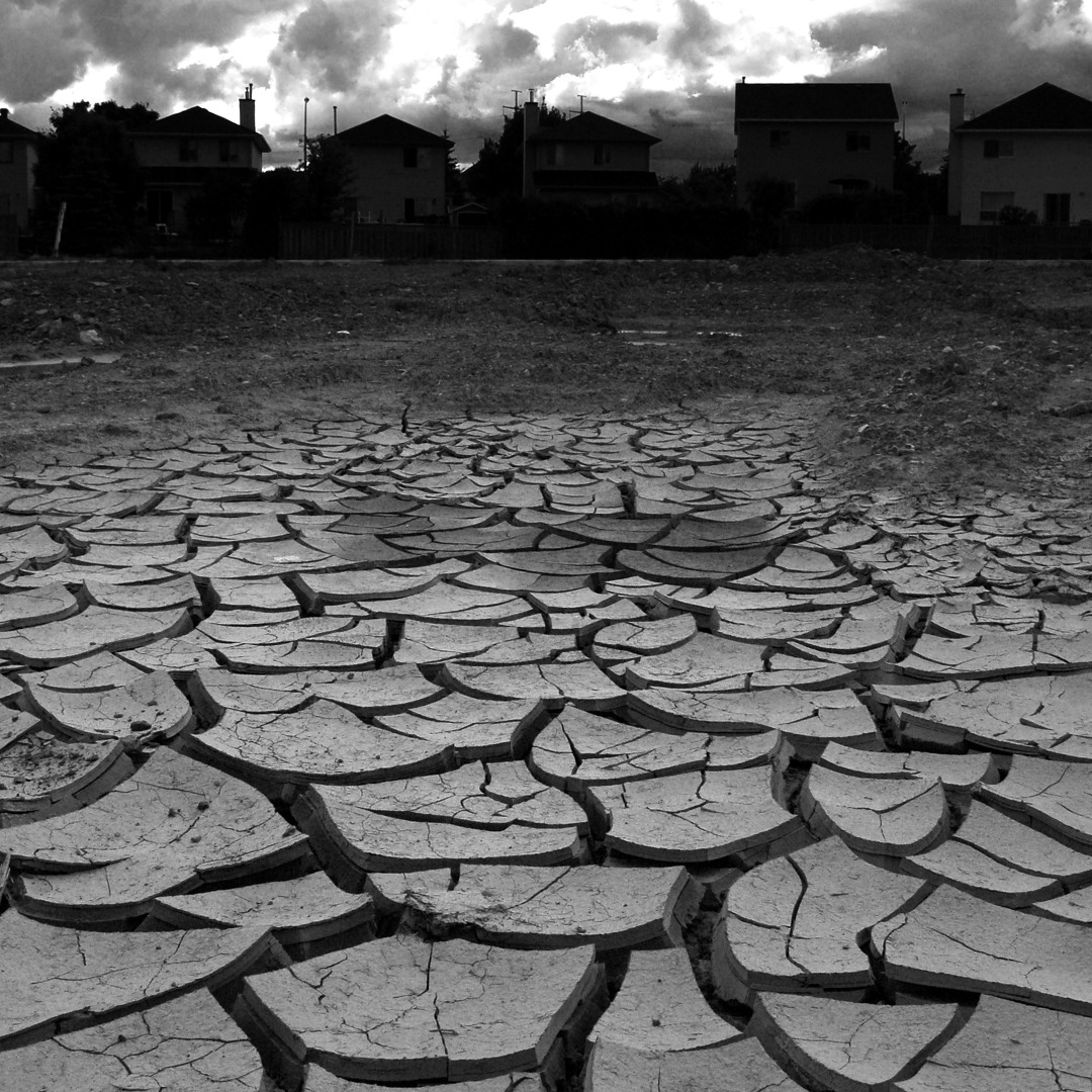 Stream Forest to Desert by Sarah Boothroyd | Listen online for free on ...