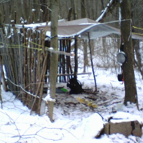 Stream Bizarre Bazaar by Age of Reason | Listen online for free on ...