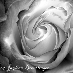 Kelly Pullen's Instagram, Twitter & Facebook on IDCrawl