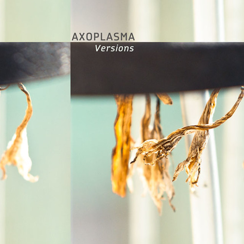 Stream Axoplasma - Introversion (Reflective Version) [Preview] by ...