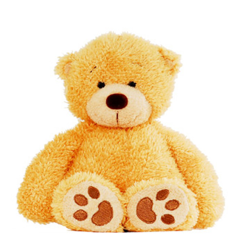 Stream Shit (in the woods) by Stan Kass | Listen online for free on ...