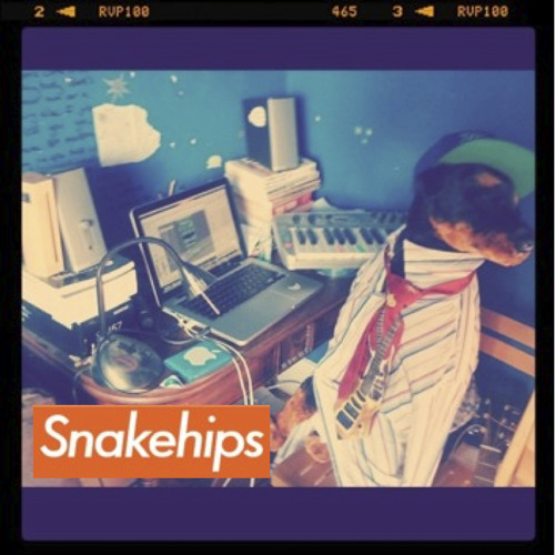 Stream SNAKEHIPS | Listen to BEATS & REMIXES playlist online for free ...