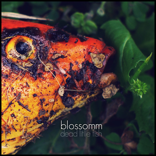 Stream Dead little fish (demo) by Blossomm | Listen online for free on ...