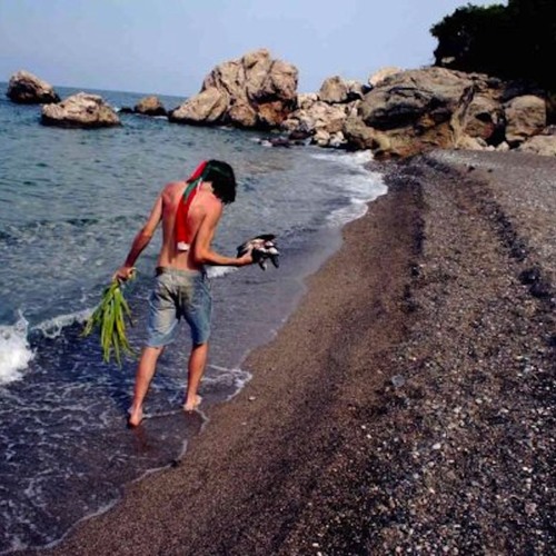 Stream Crystal Fighters - Plage (Hackman Remix) by Crystal Fighters ...