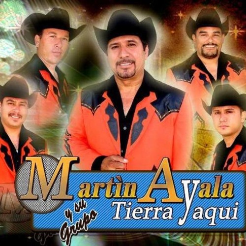 Stream user223699563 | Listen to martin ayala y su tierra yaki playlist ...
