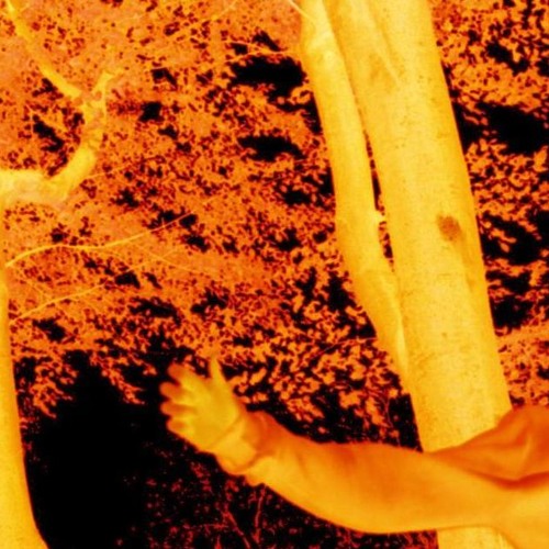 Stream THE DEVIL'S RISING by KIDS OF THE DANCING SUN | Listen online ...