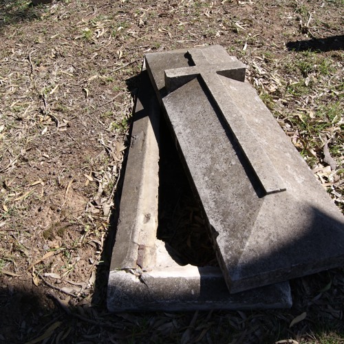 Stream Brother, Brother by The Sheeny Men | Listen online for free on ...