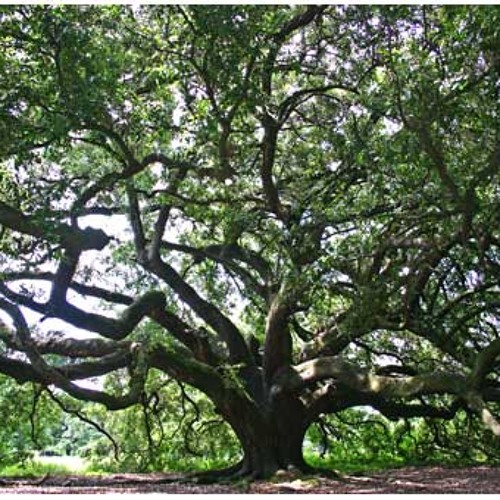 Stream Purest of pure mix by DJ Angelic | Listen online for free on ...