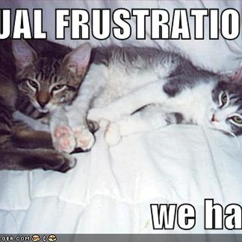 Sexually Frustrated Meme