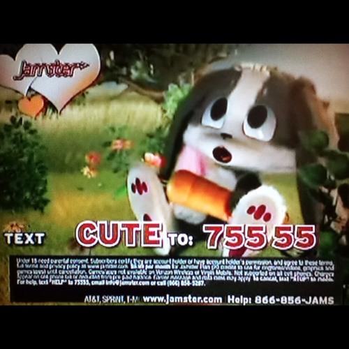 Stream Jamster snuggle bunny ringtone preview at Orlando by little ...