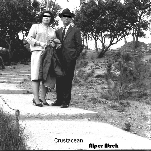 Stream Alper Atrek - Leaves by Indie Shore | Listen online for free on ...