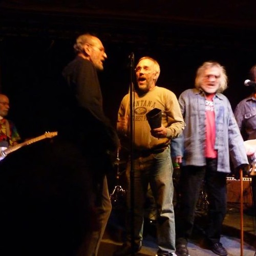 Stream The Skeletons- She's an Indian Cowgirl In A Rodeo (w/ Mike ...