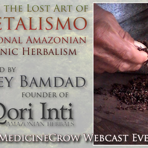 Stream Reviving the Lost Art of Vegetalismo - Traditional Shamanic Herbalism by Qori Inti ...