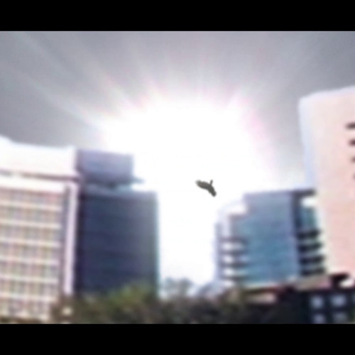 Stream napos2600 | Listen to nagz is my neighbor playlist online for free on SoundCloud