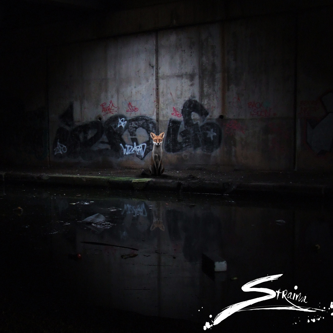 Stream Straina - 21st Century Fox by Straina | Listen online for free ...