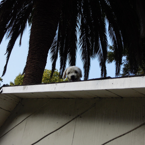 Stream High Places & David Scott Stone: All the Days Blur Together by ...