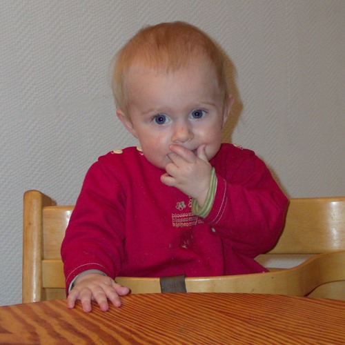Stream Twee handjes op de tafel by Fred Van Gestel | Listen online for ...