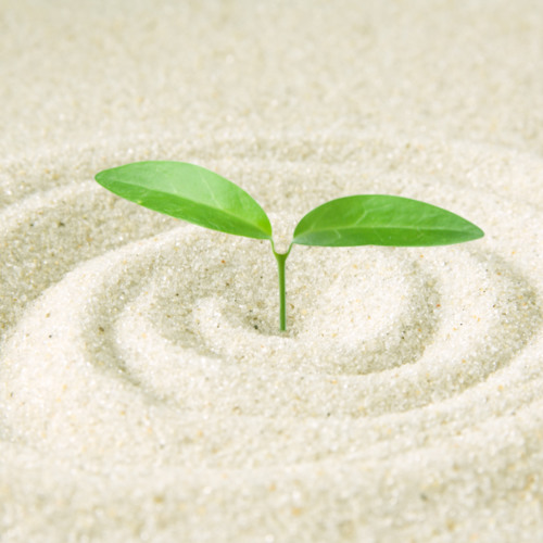 Stream Autumn In Color by edkd | Listen online for free on SoundCloud